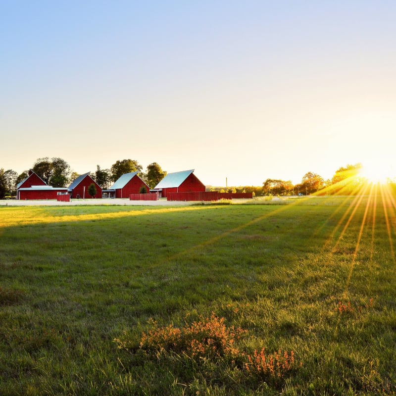 Perdue Farms Sustainability Efforts & Eco-Friendly Packaging | Perdue Farms