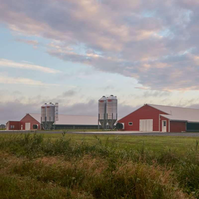 Glossary of Food Terms | Perdue Farms